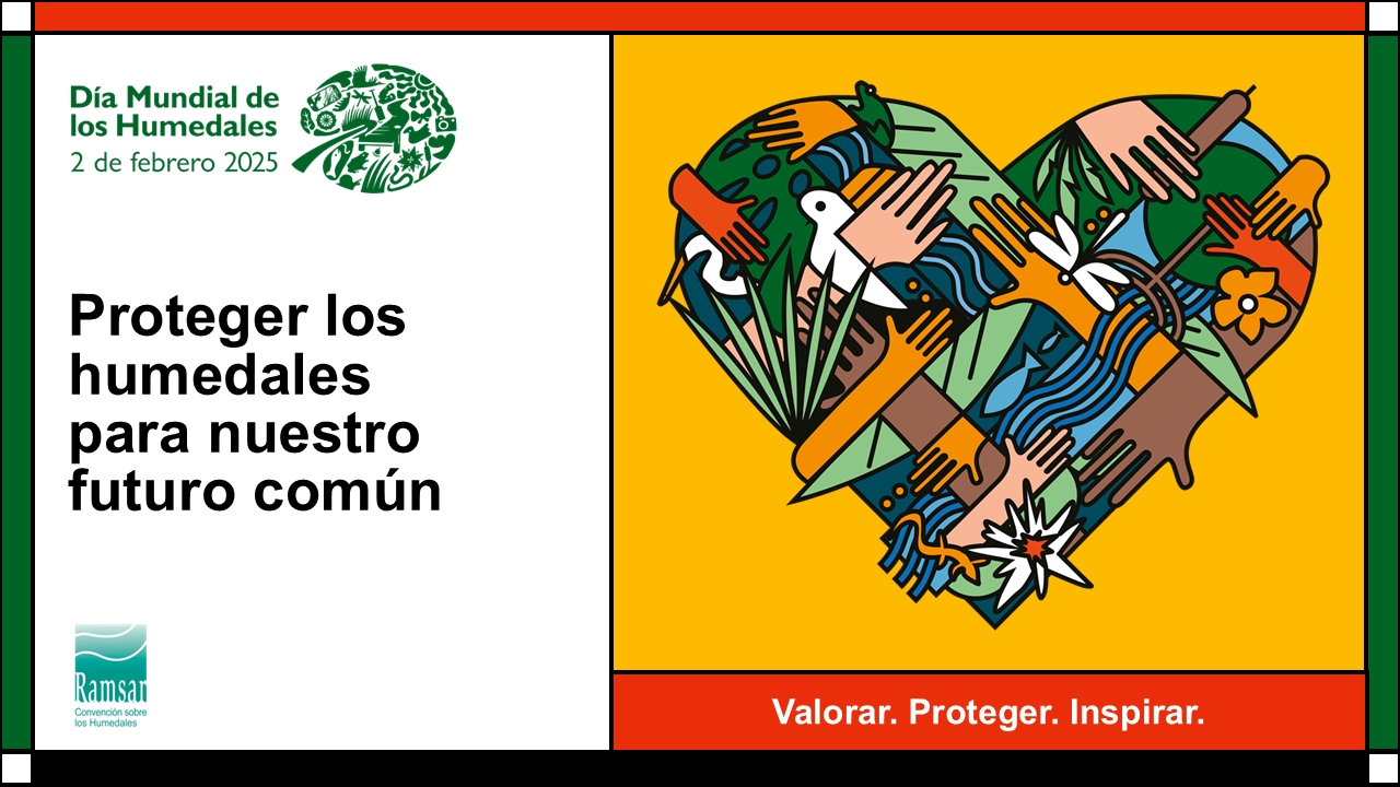 Día Mundial de los Humedales 2025 | Educación Ambiental